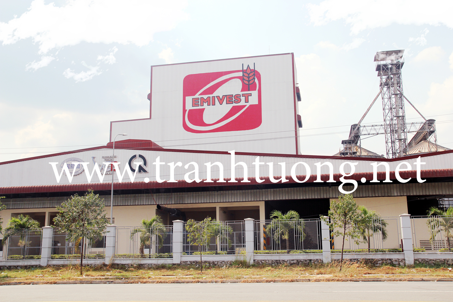 Vẽ logo In logo lên tường | TranhTuong.Net